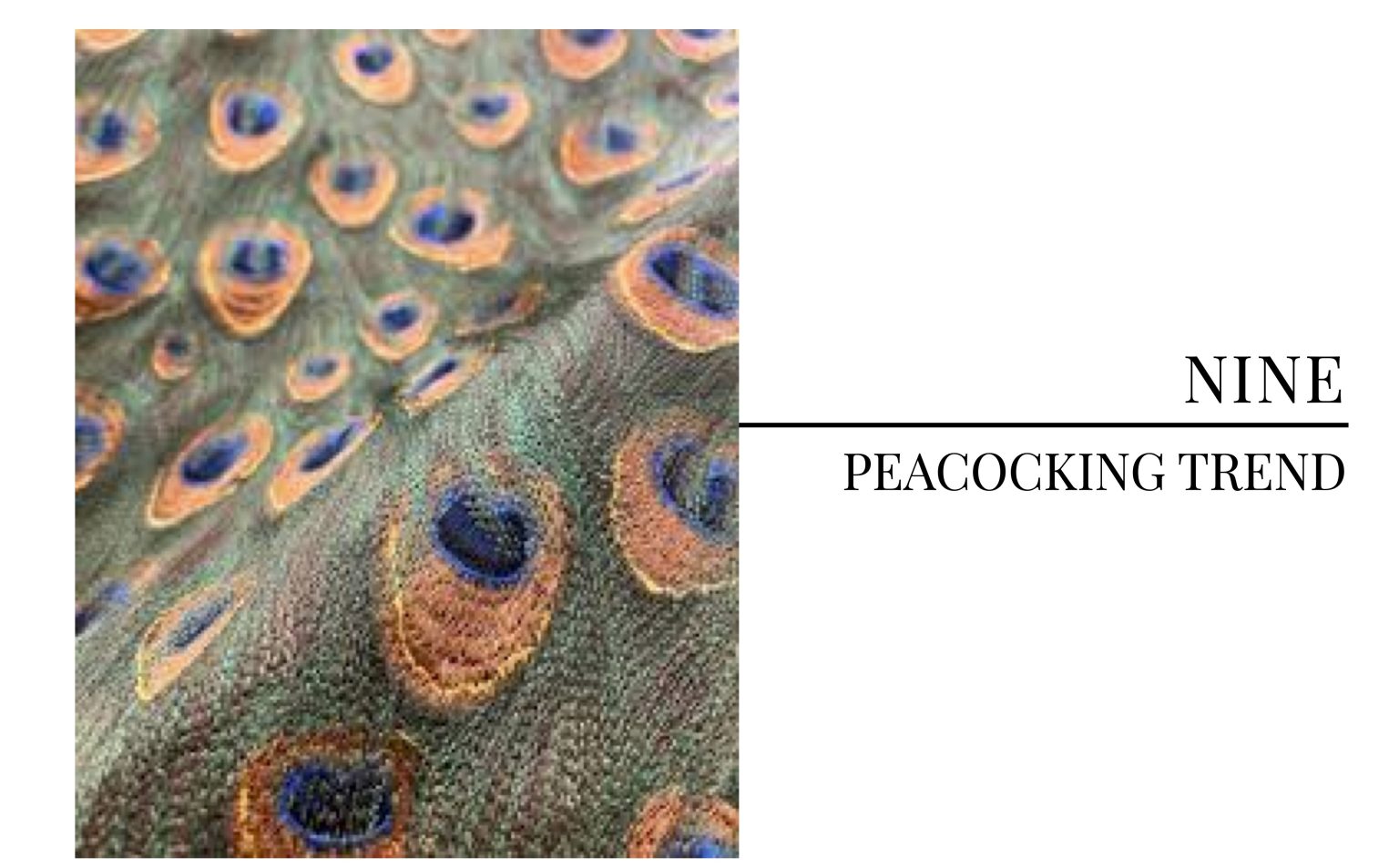 The Pulp Edit: Animal Attraction | Pulp Design Studios